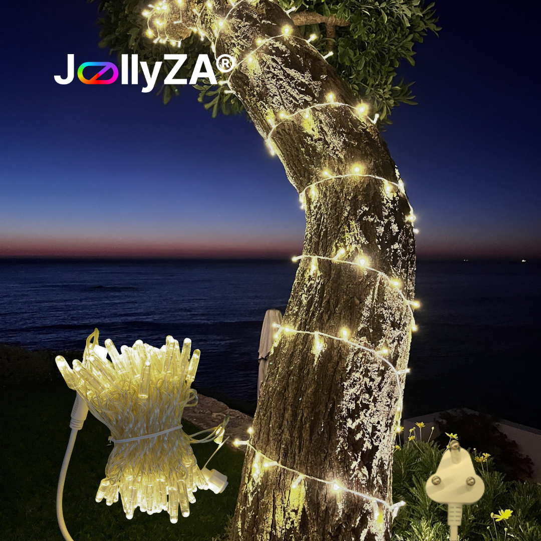 10m Warm White Heavy-Duty LED String Lights – JollyZA